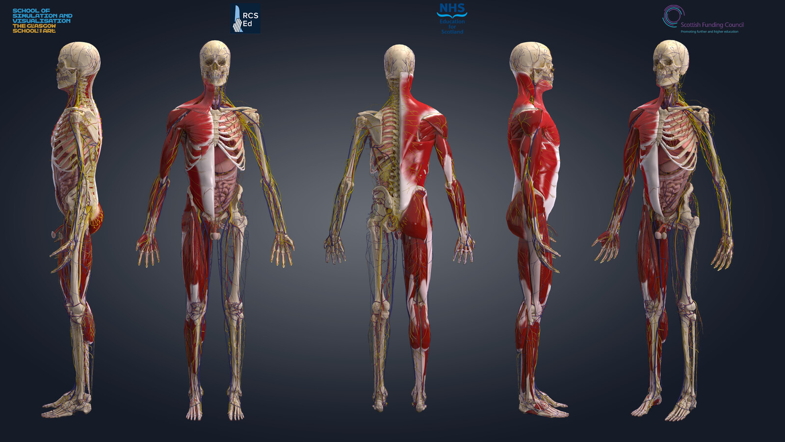 Danny Buksh - Body Progression