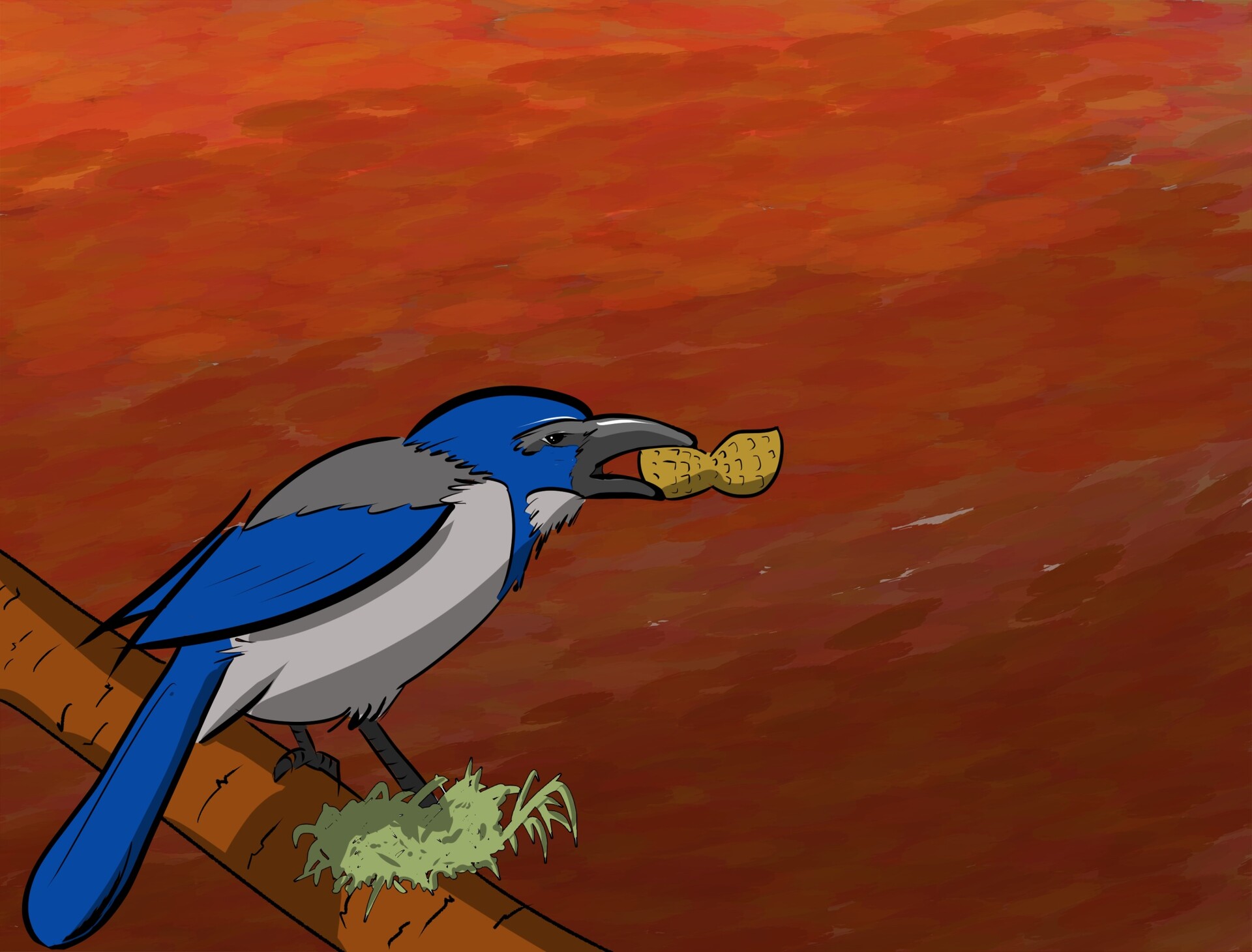 ArtStation - Scrub Jay