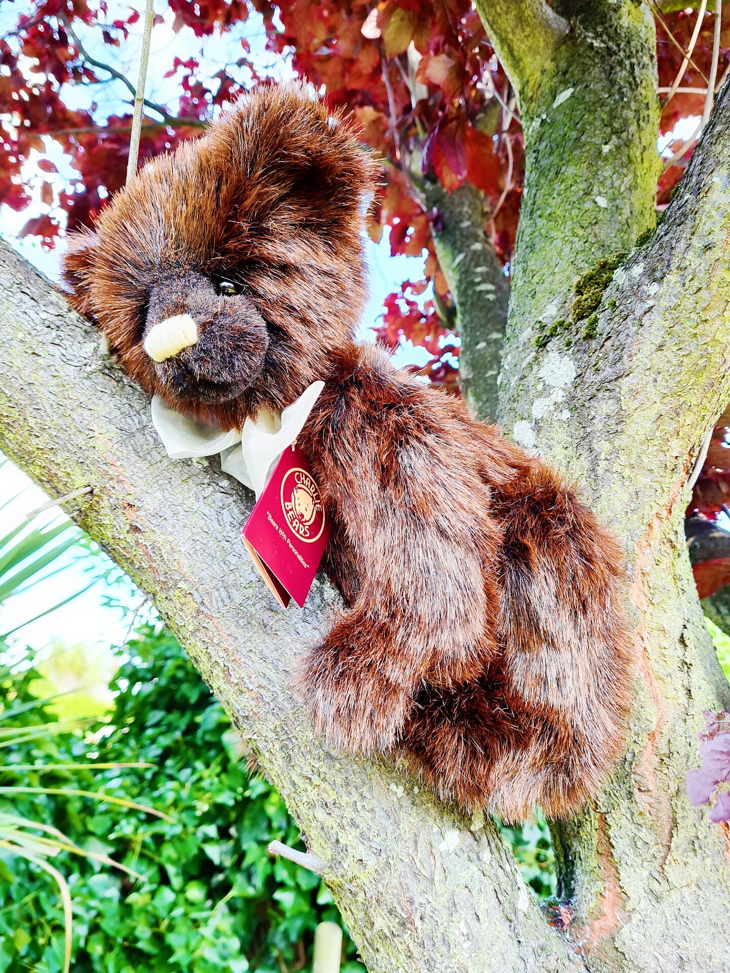 ArtStation - Charlie Bear Big Ted tree photo