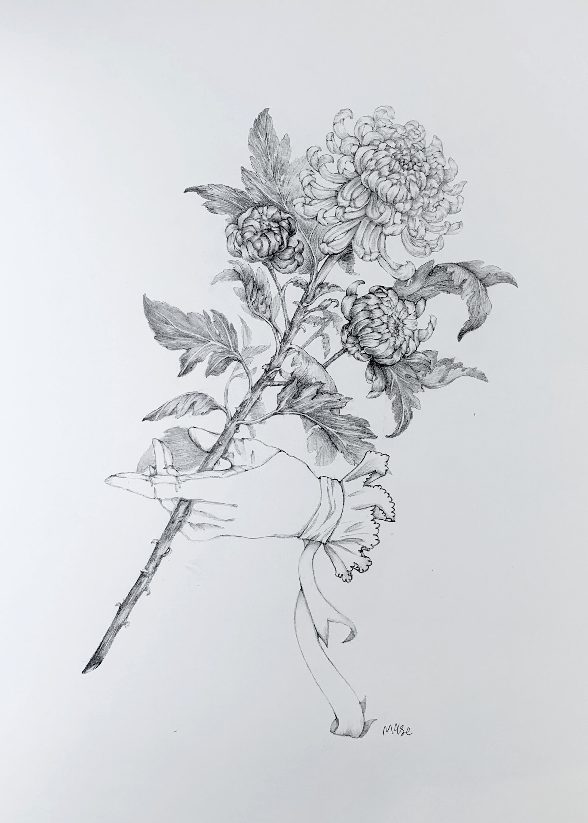 ArtStation - Flower Sketches