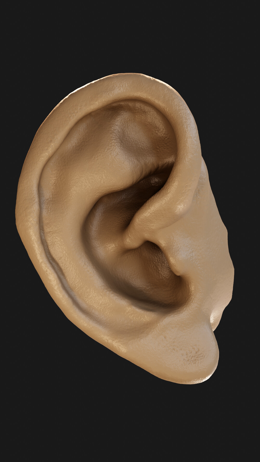 ArtStation - Ear sculpture
