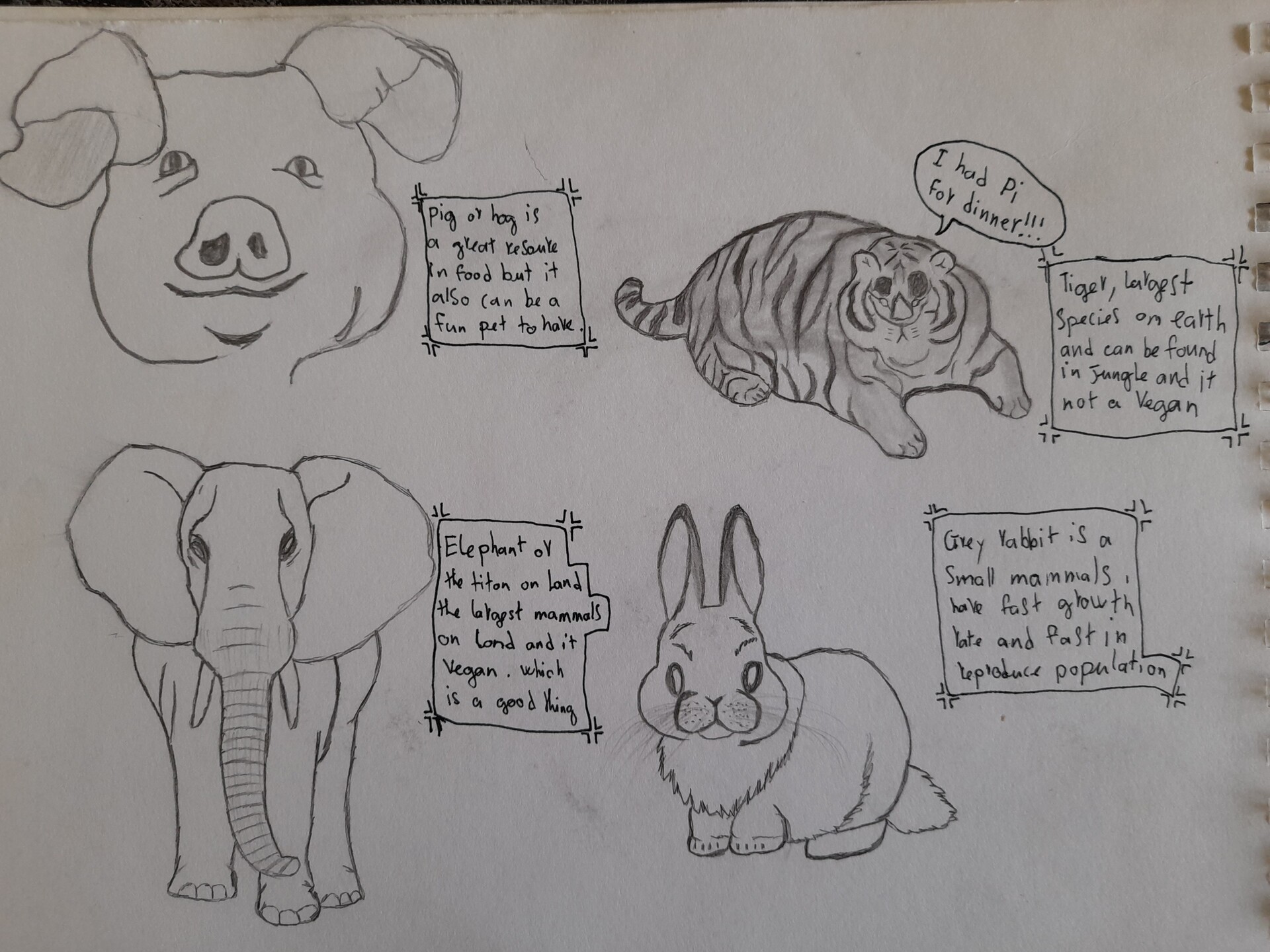 ArtStation - Animal drawing studies