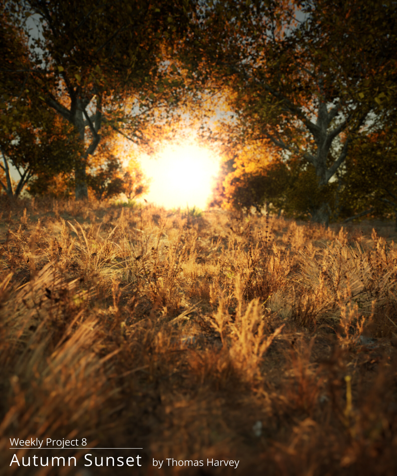 ArtStation - Autumn Sunset - Weekly Project 8