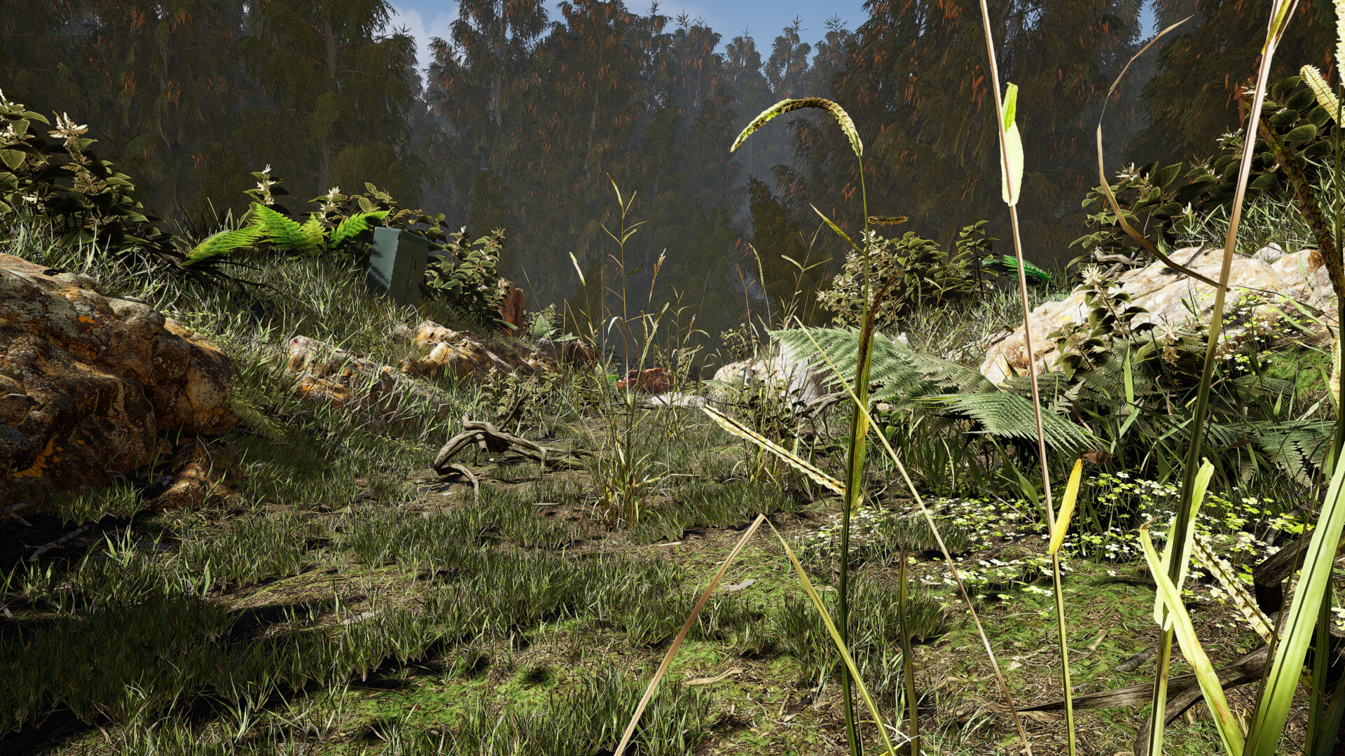 ArtStation - Pine Forest Render