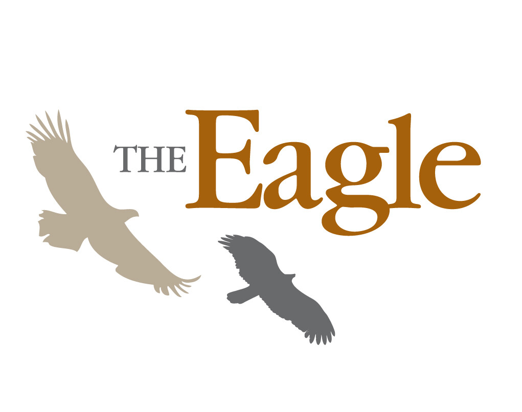 ArtStation - The Eagle