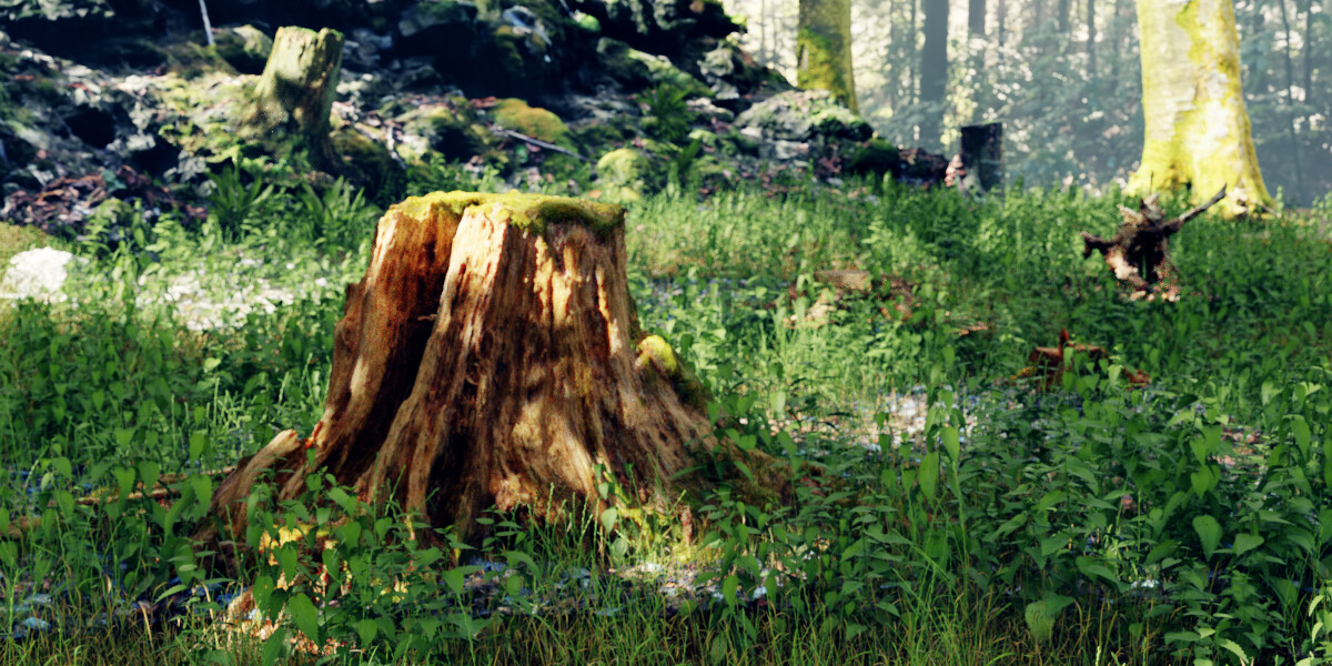 ArtStation - Tree Stumps