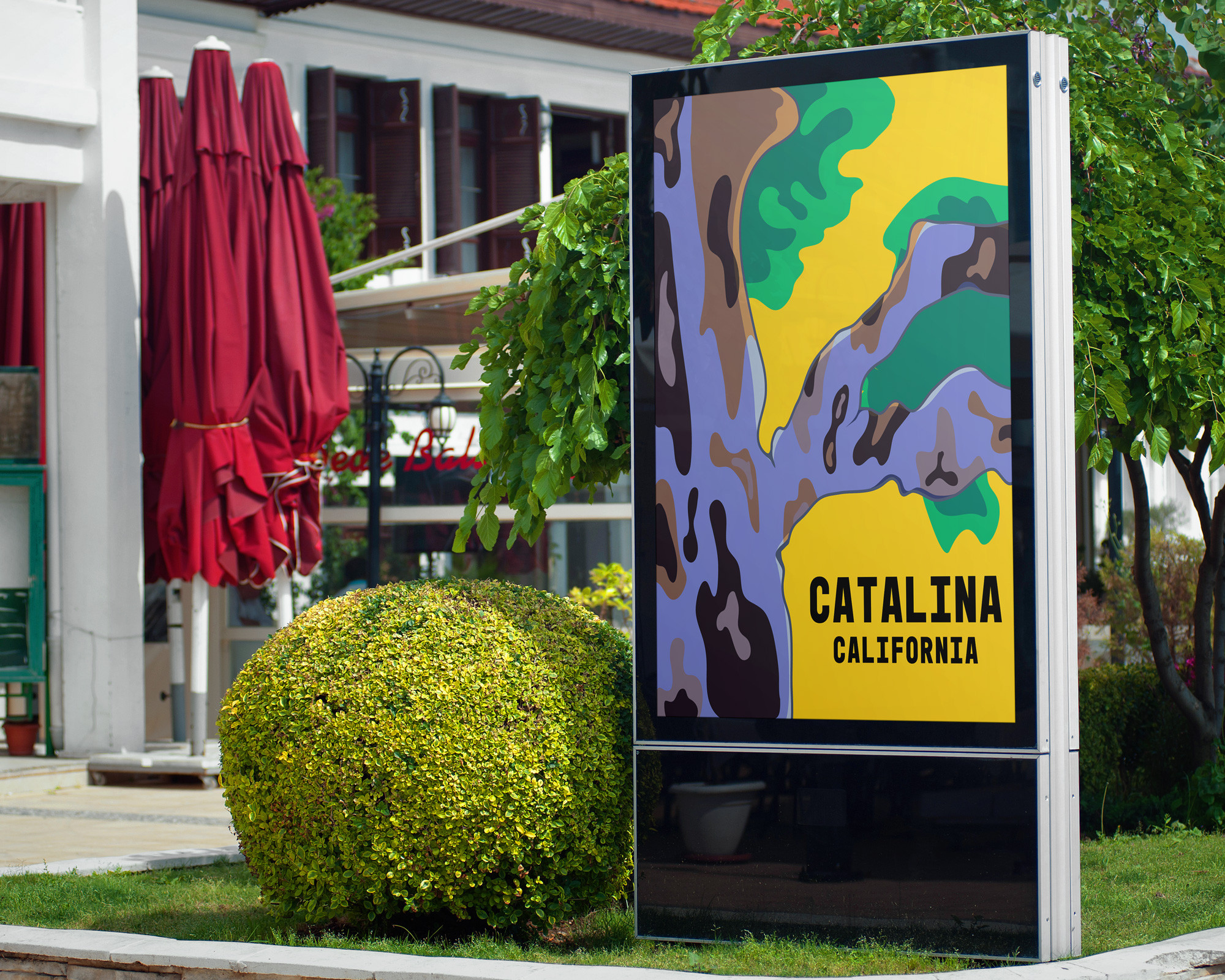 Portfolio of Chris Prado - Catalina Island Eucalyptus Tree