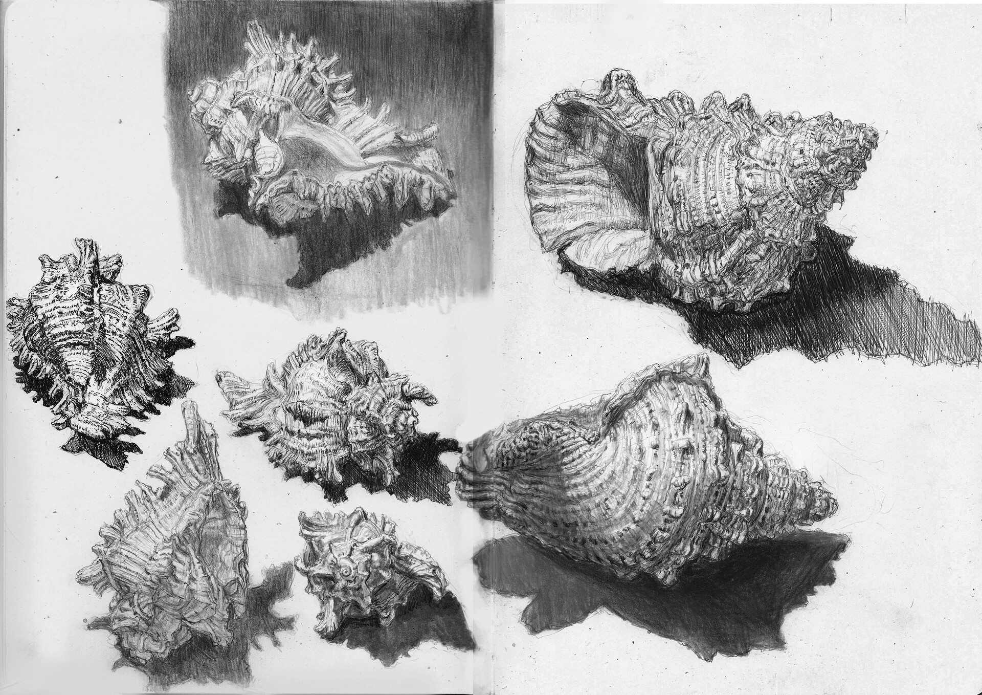 ArtStation - Sketchbook 19/20