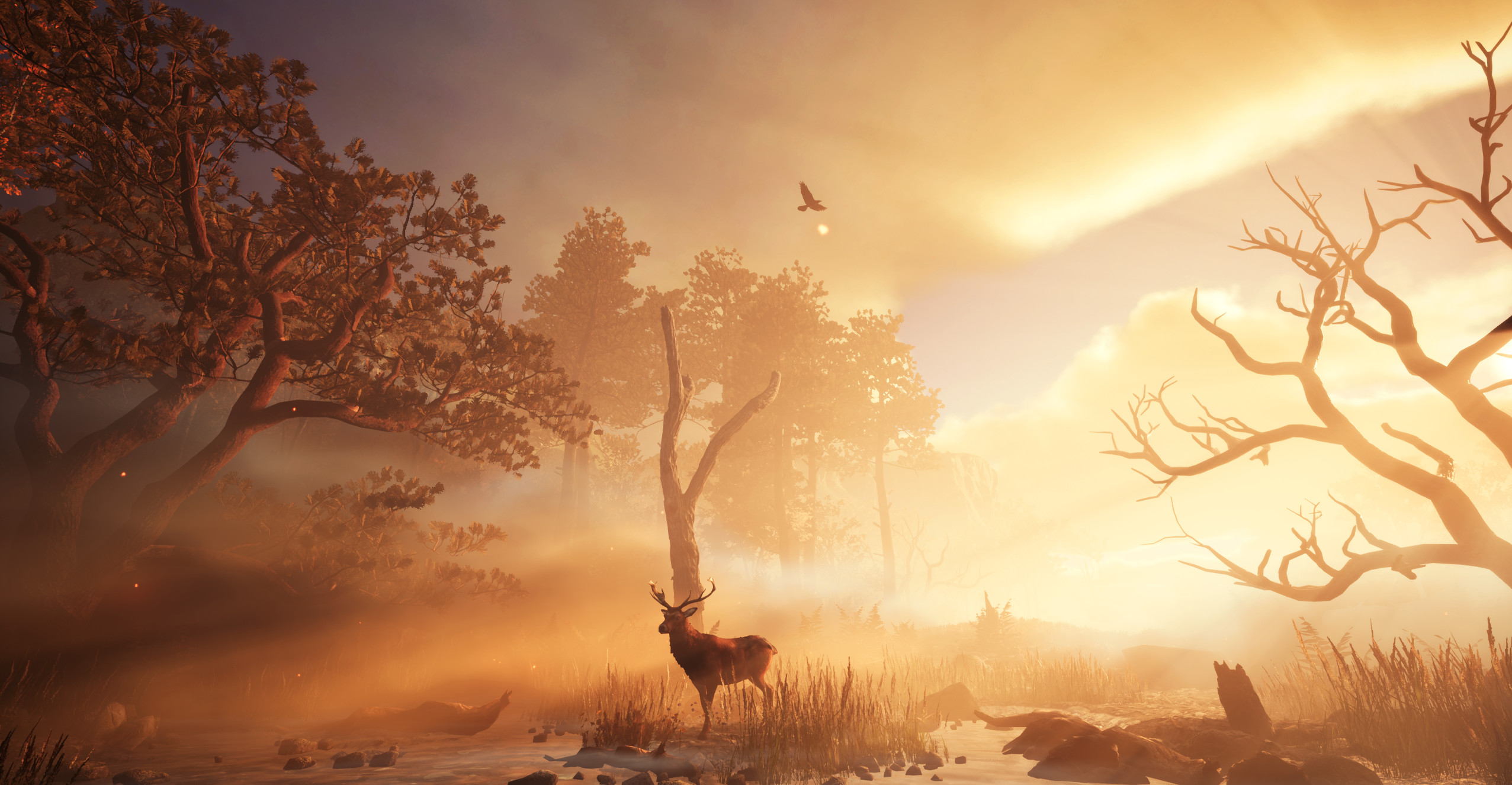 Hourences - 2018 Unreal Engine Volumetric Fog Demo