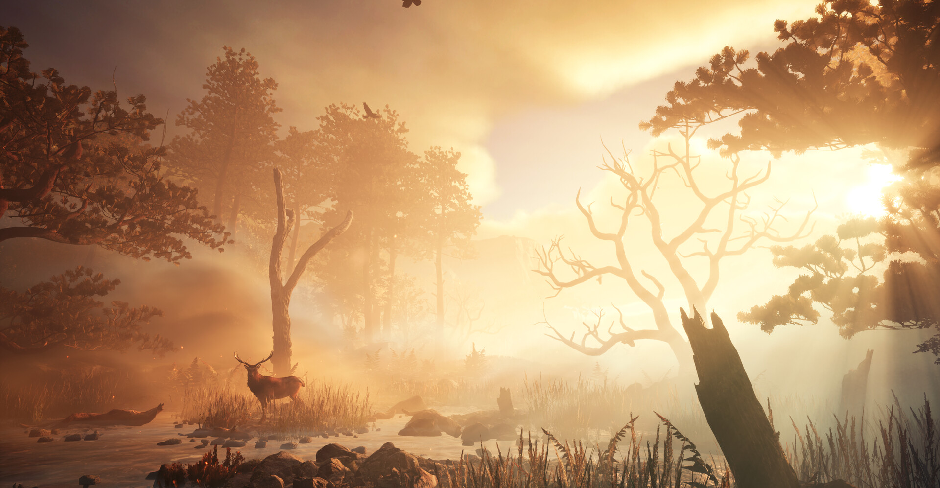 ArtStation - 2018 Unreal Engine Volumetric Fog Demo