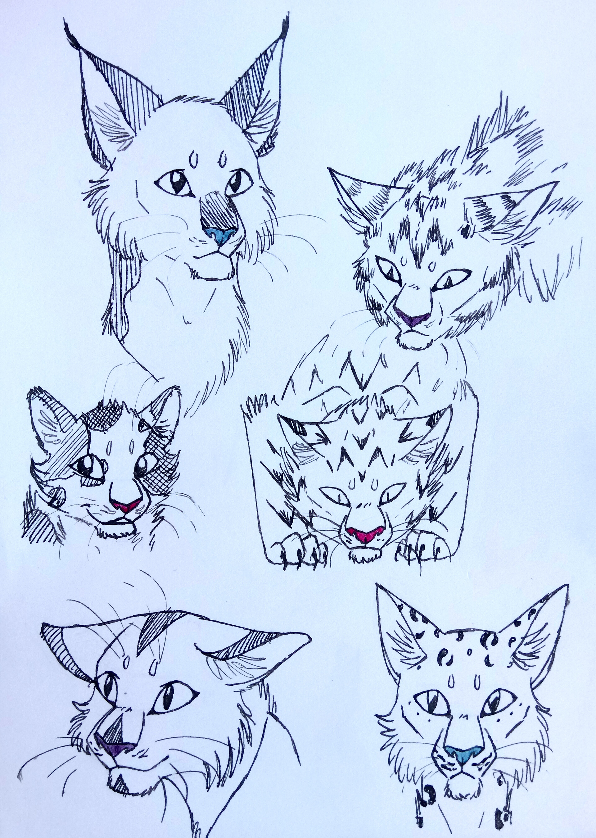 ArtStation - Some cats in ink