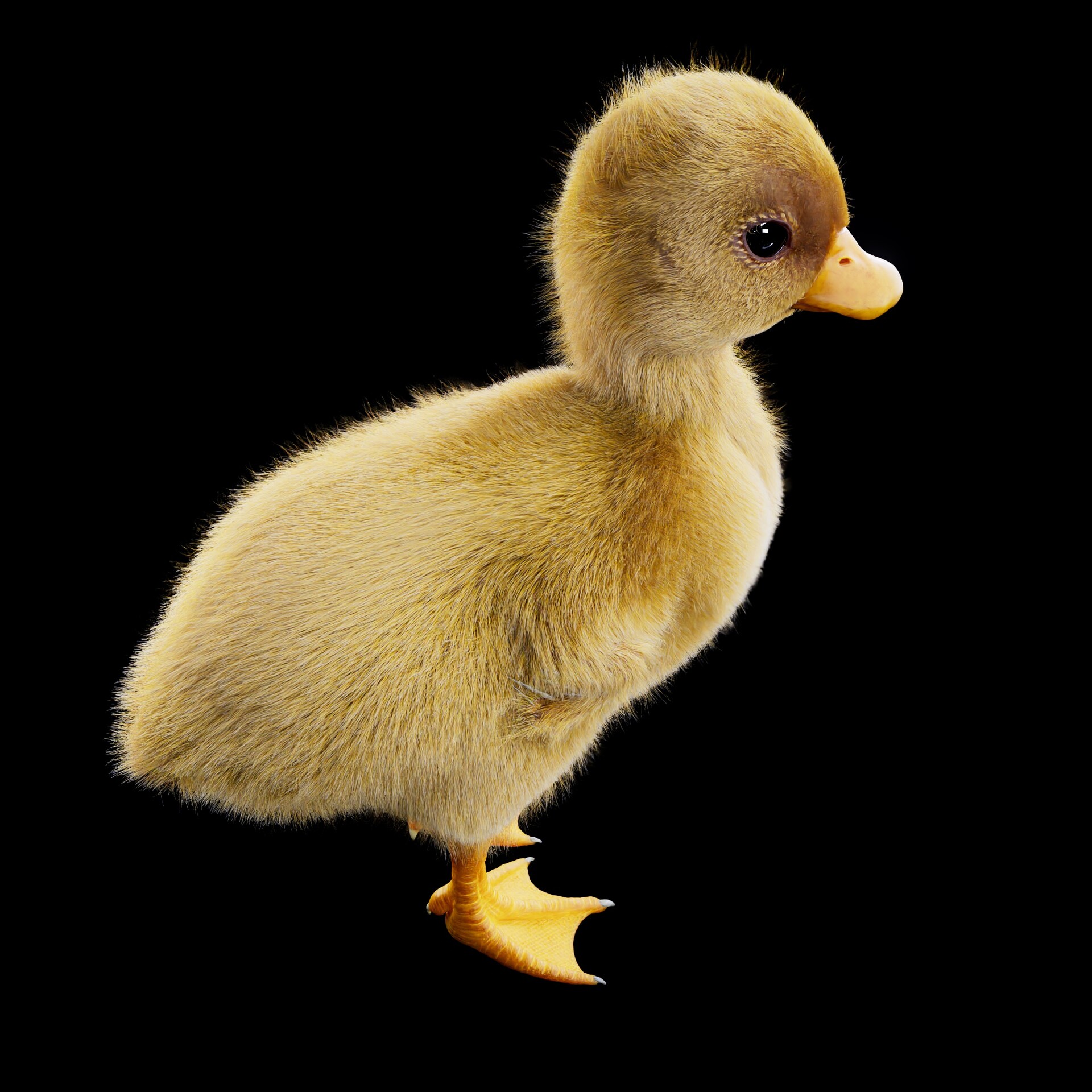 ArtStation - Quack Quack 1 day project