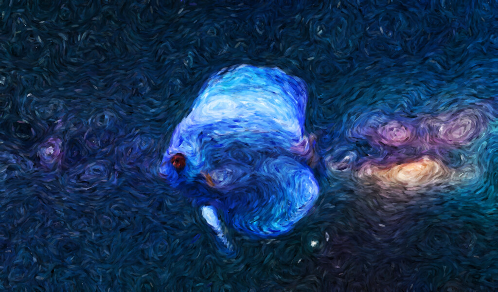 ArtStation - Space Fish