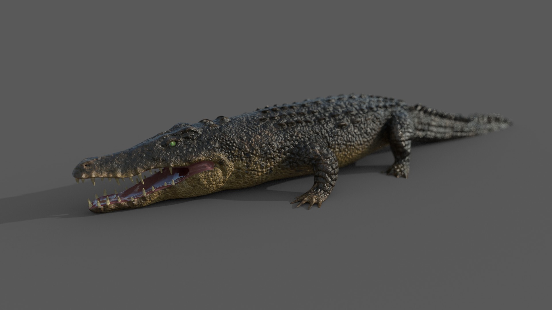 ArtStation - CROCODILE 3D MODEL