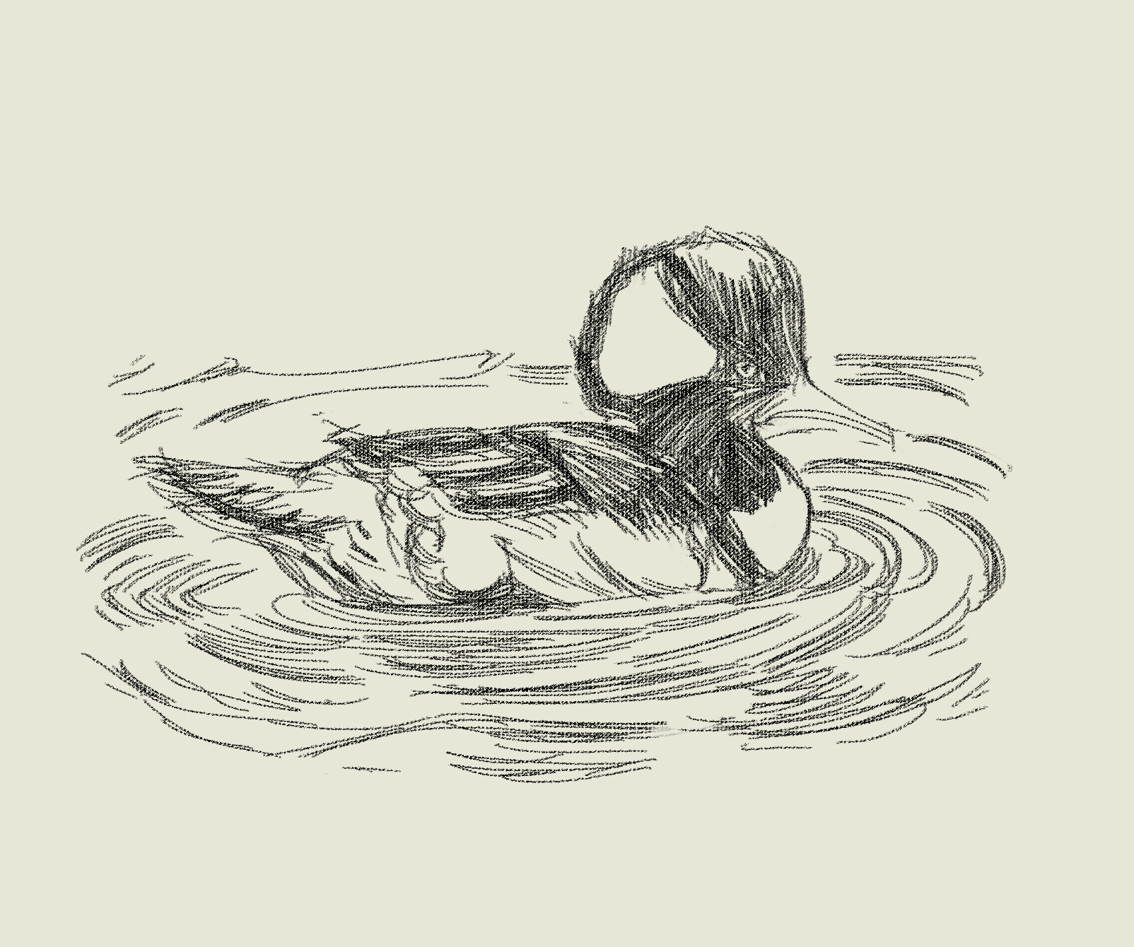 ArtStation - Sea Duck Sketch