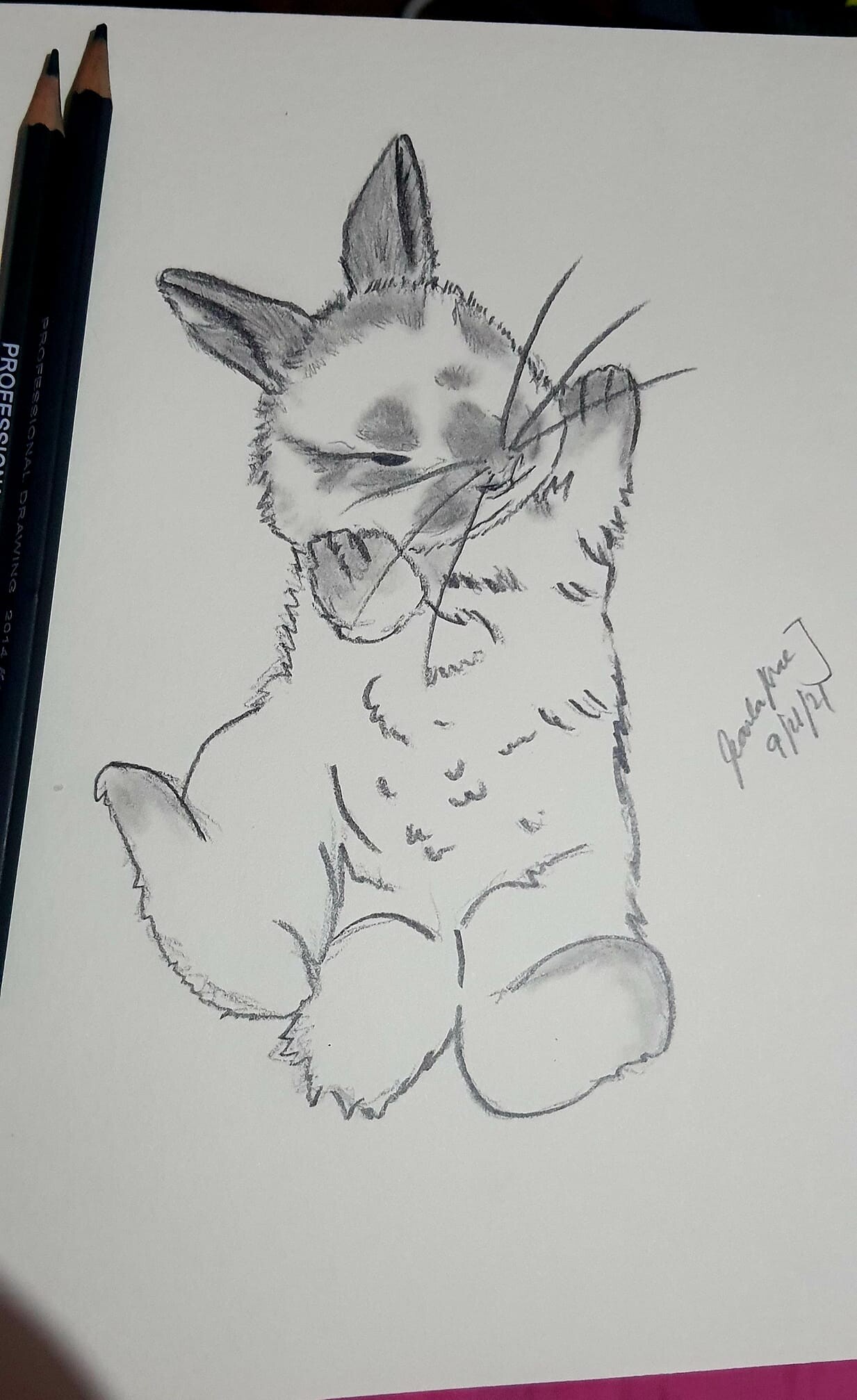 ArtStation - Bunny Sketch