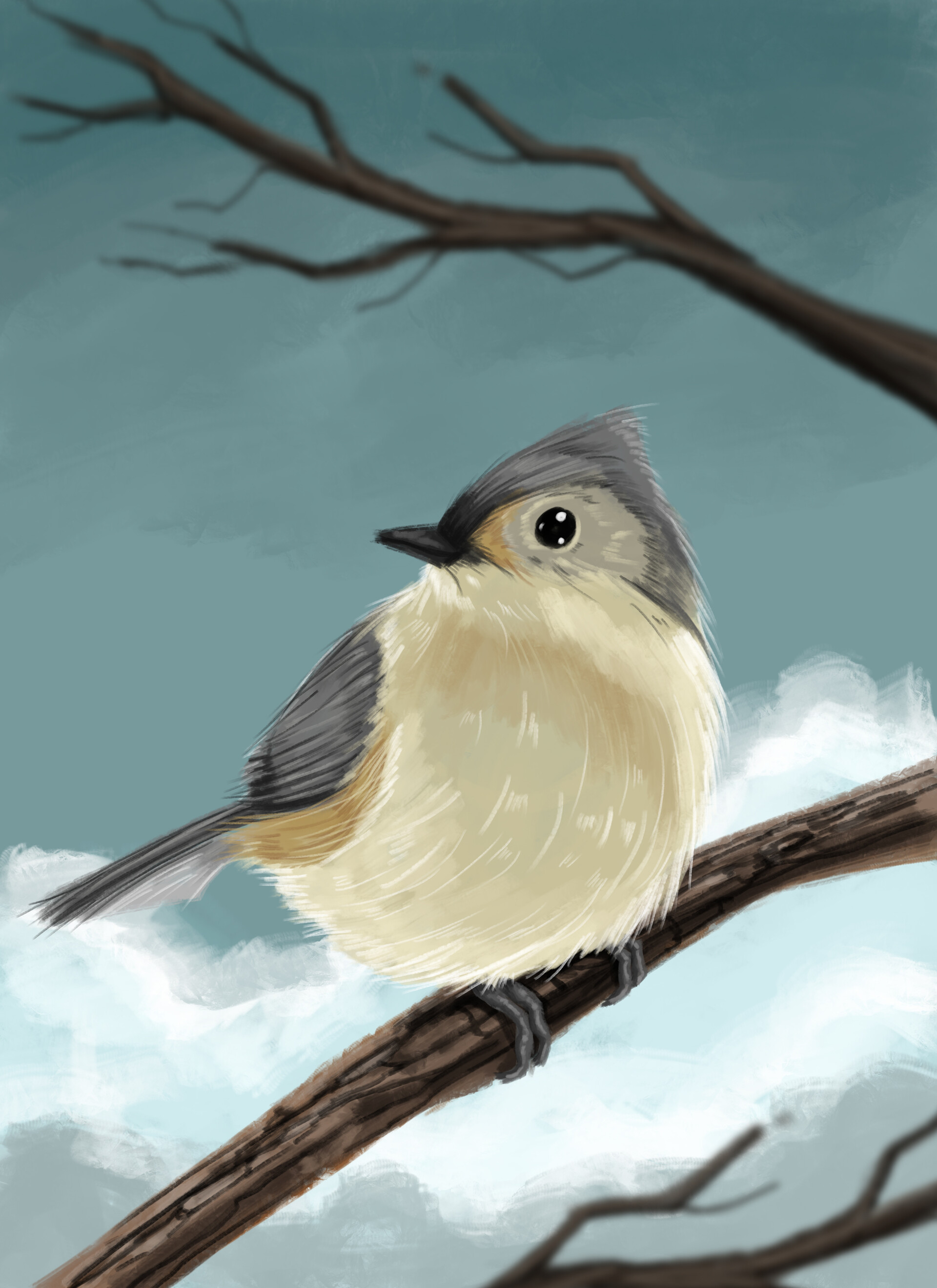 ArtStation - Carbonero copetudo