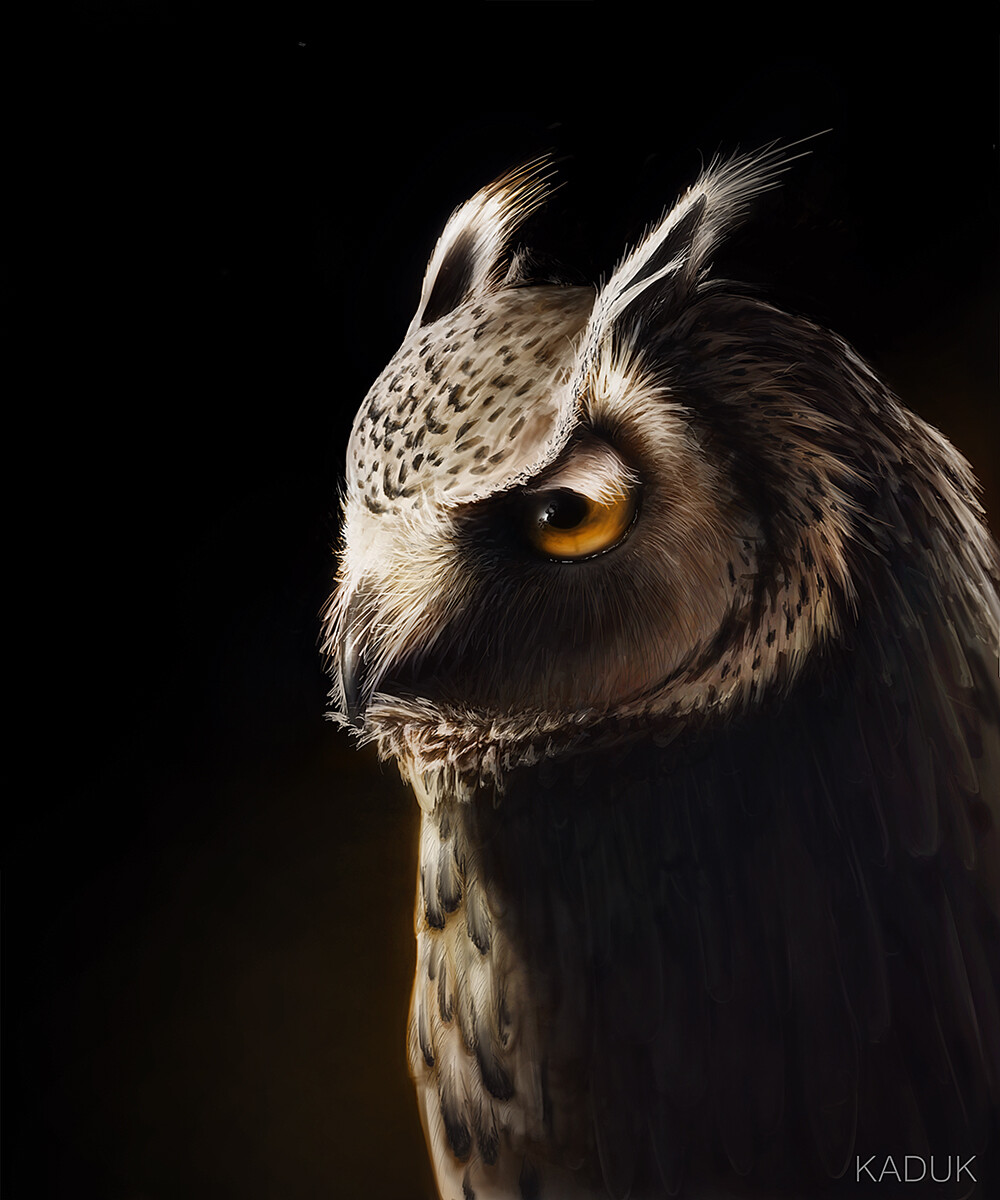 ArtStation - Owl