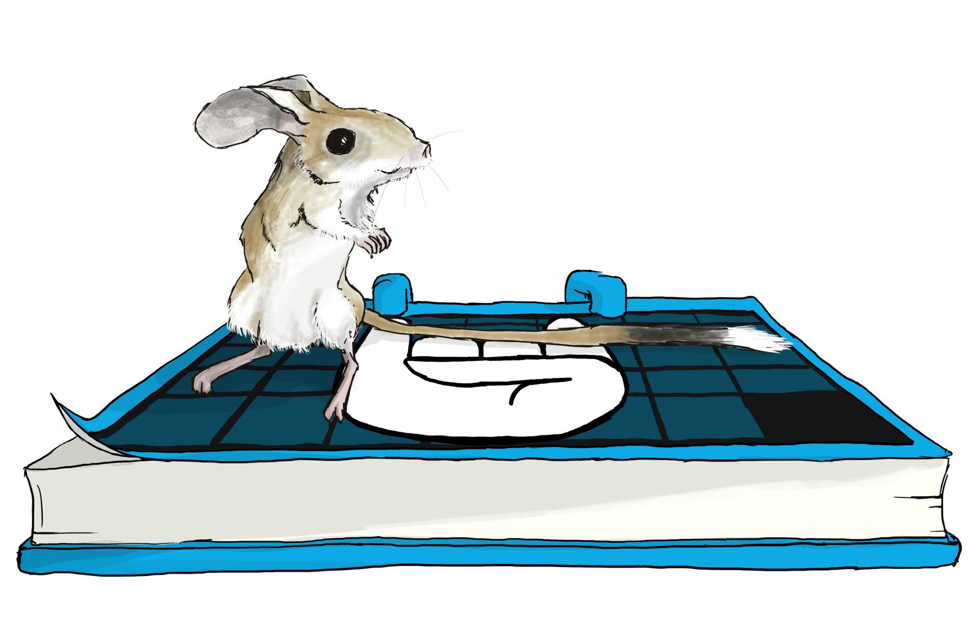 ArtStation - Jerboa: The Events Calendar Mascot #2