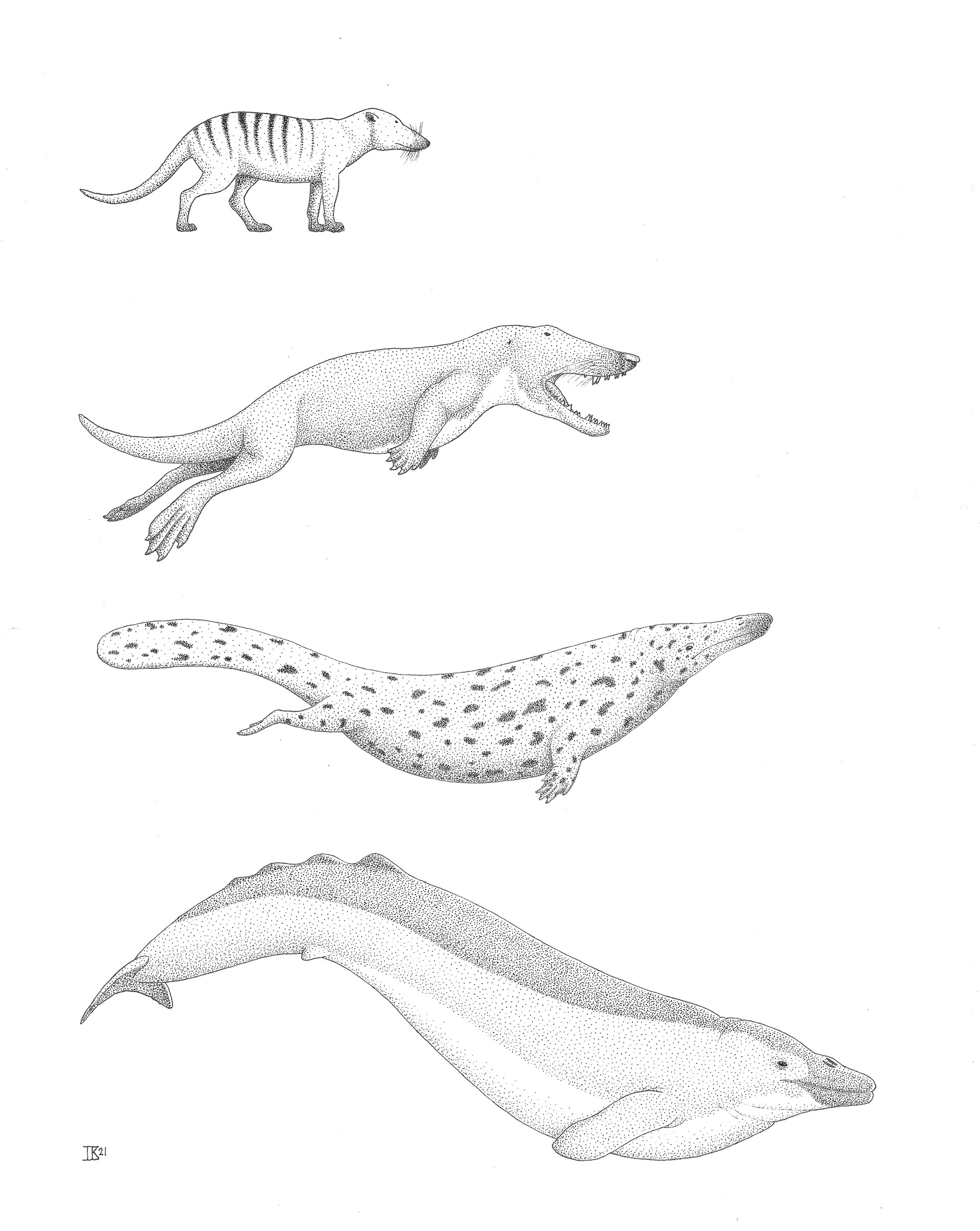 ArtStation - Early cetaceans