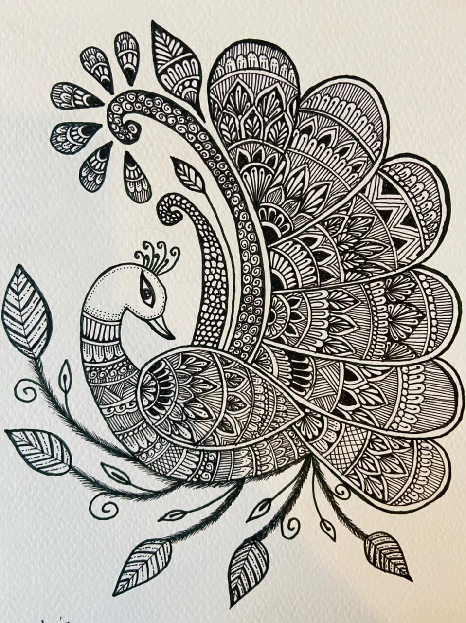 how to draw zentangle bird