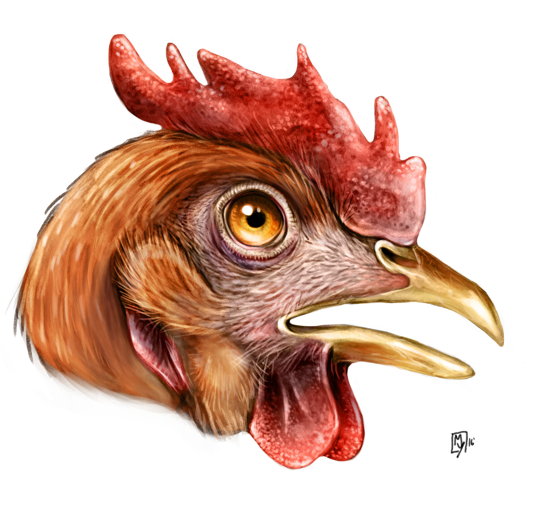 Maxwell Yeager - theropod dinosaur skull and jaw muscle anatomy