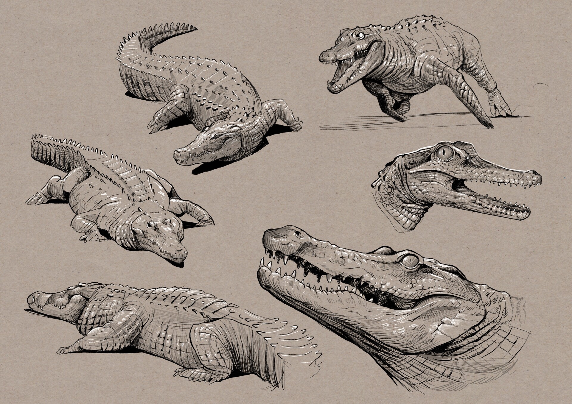 ArtStation - Crocodiles