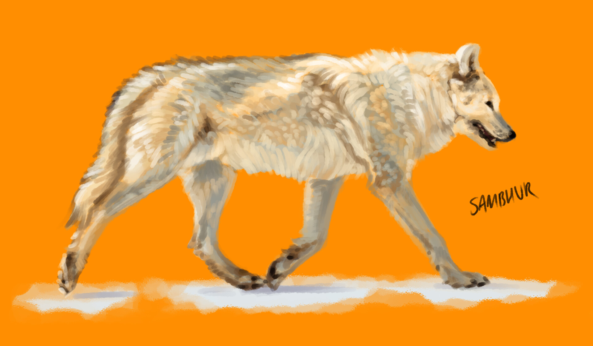 ArtStation - Wolf Studies August 2021