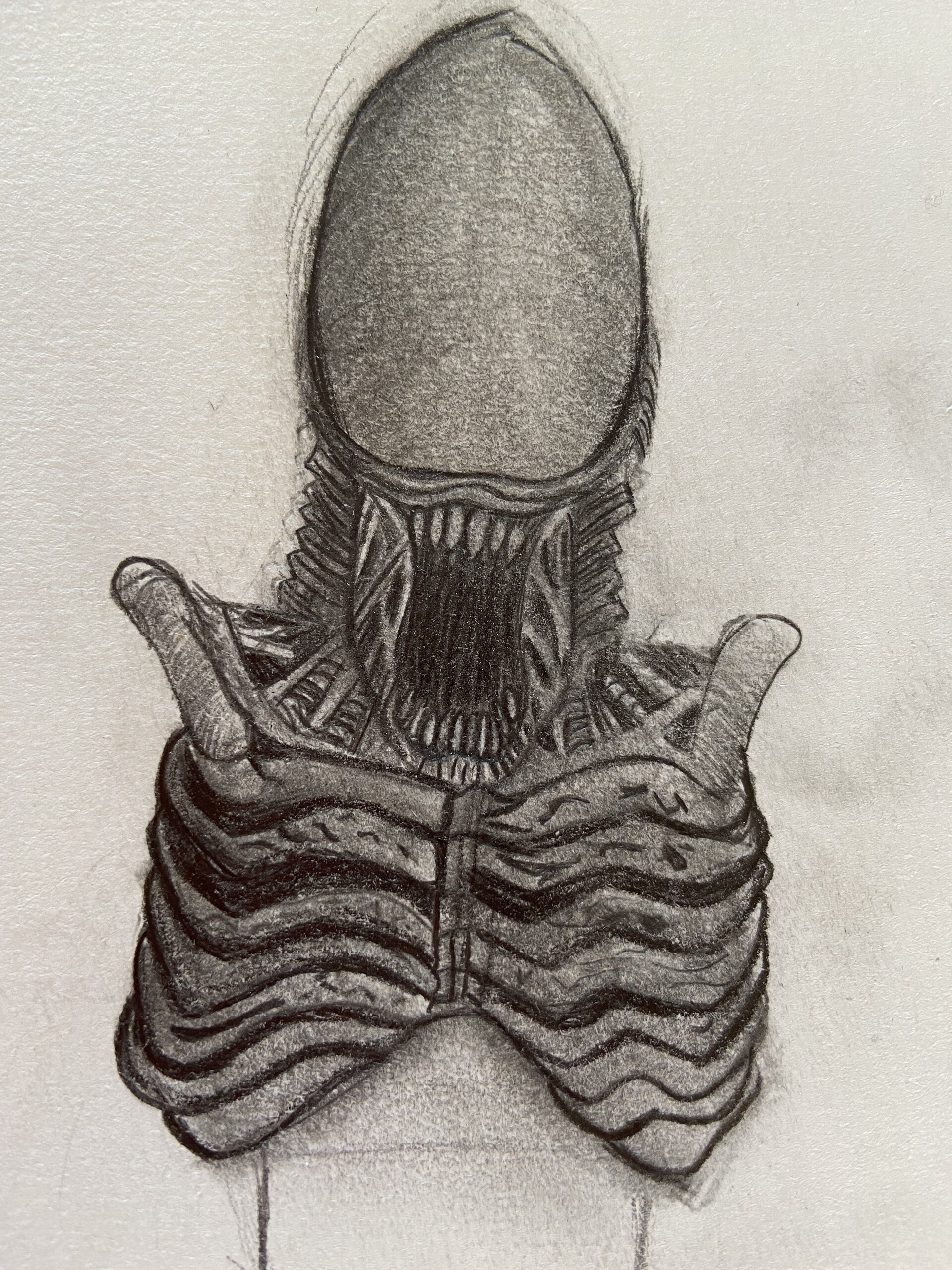 ArtStation - Aliens head