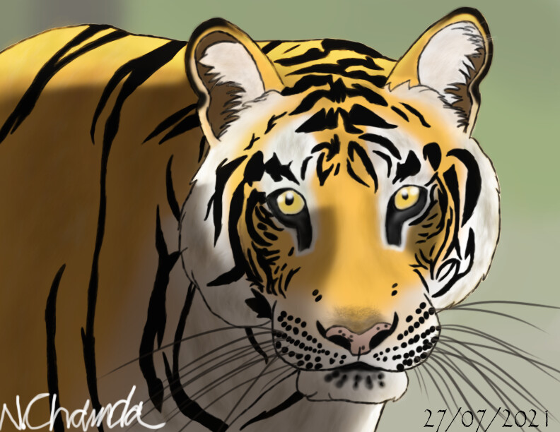 ArtStation - Ranthambore Tigress Portrait