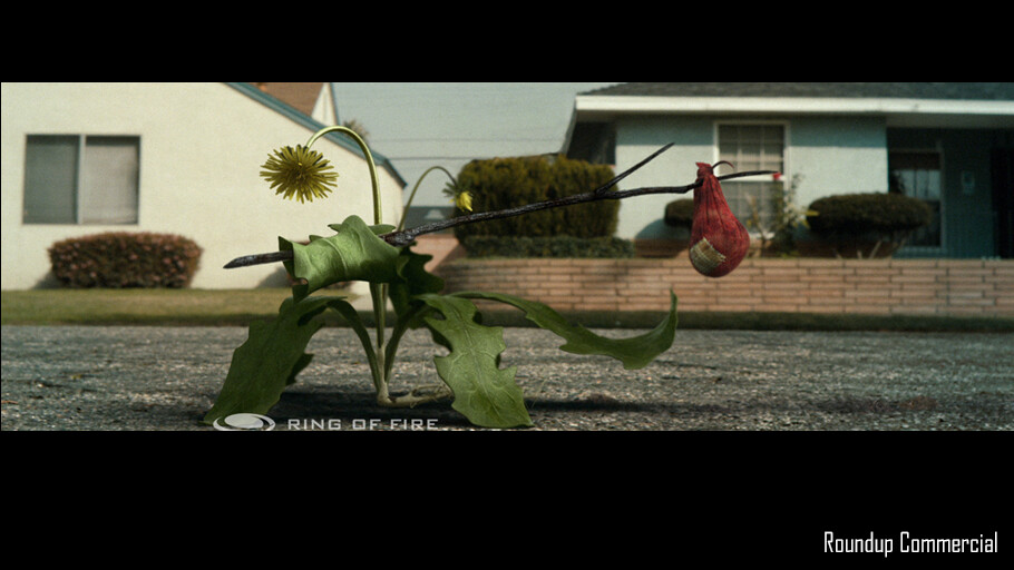 Darlene Carrasquillo - Roundup Commercial