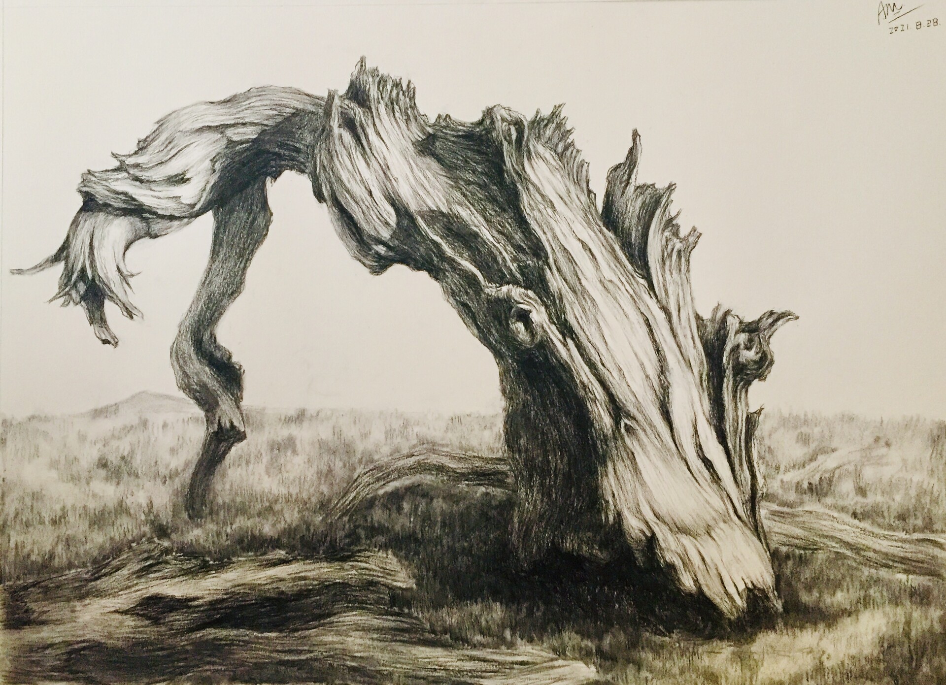 ArtStation - tree_practise