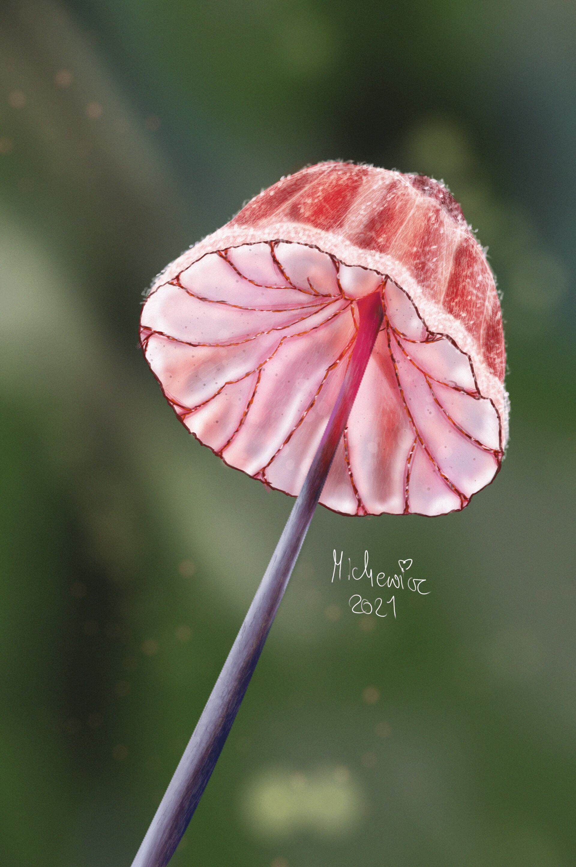 ArtStation - mushroom