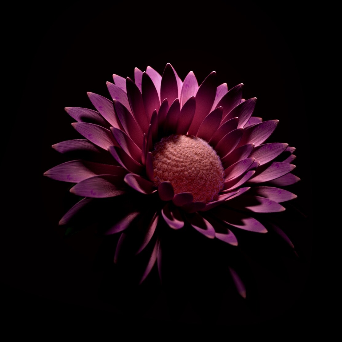 ArtStation - flower test