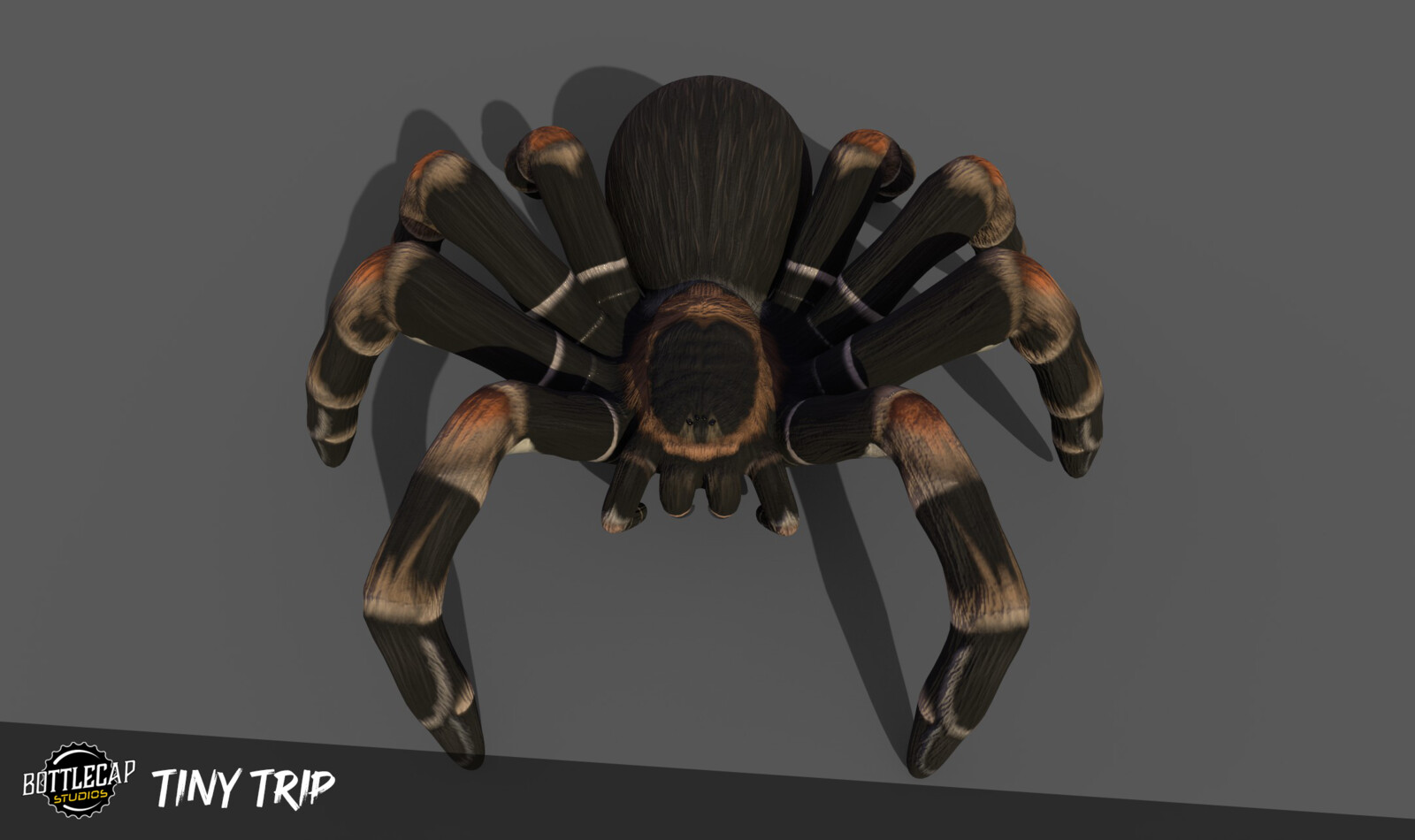 Alexander Treiner - TINY TRIP - Tarantula Boss