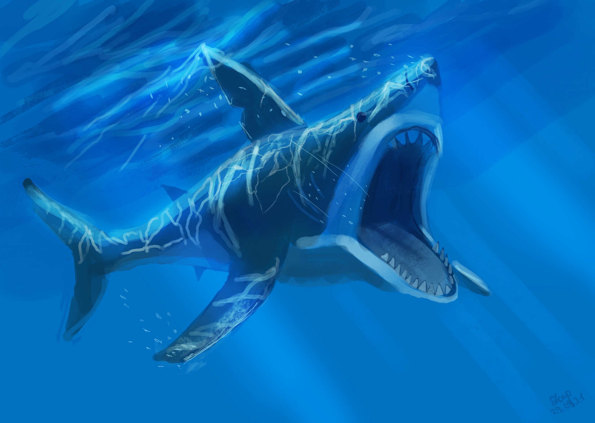 ArtStation - Shark