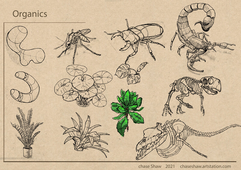 ArtStation - chase Shaw