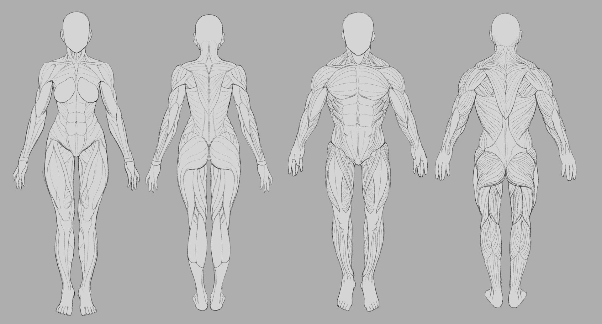 ArtStation - Anatomy studies (Multiple images)