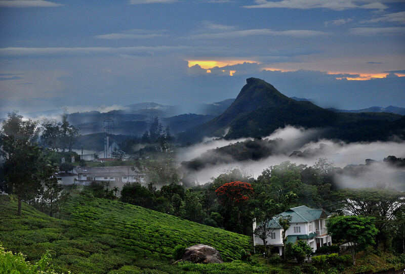 ArtStation - PINAKI GHOSH