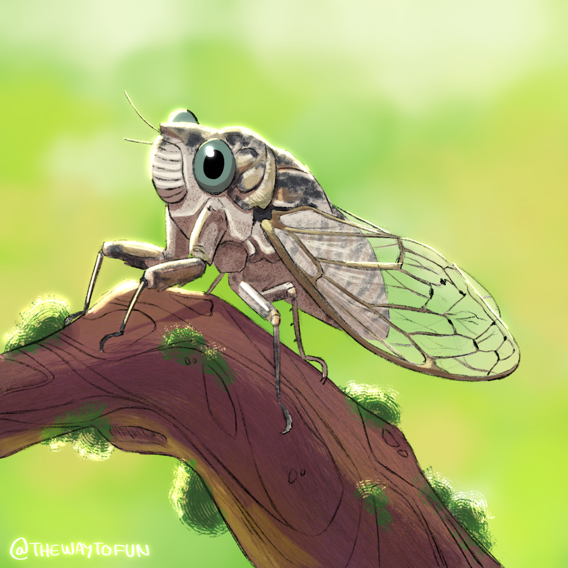 ArtStation - The cicada