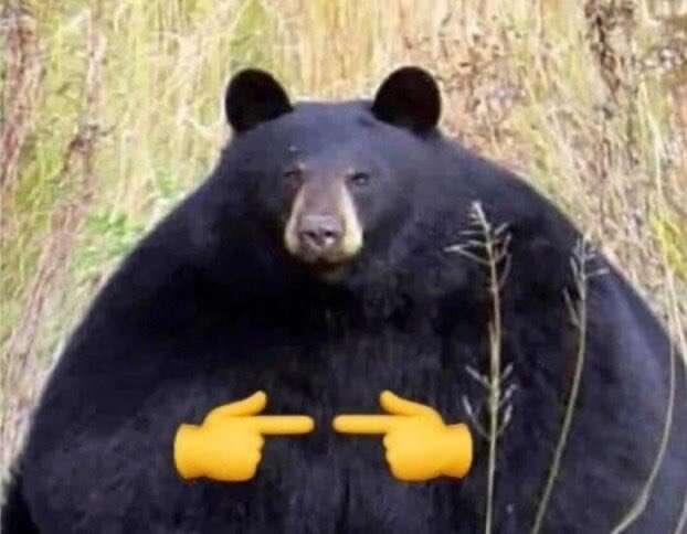 bear uwu