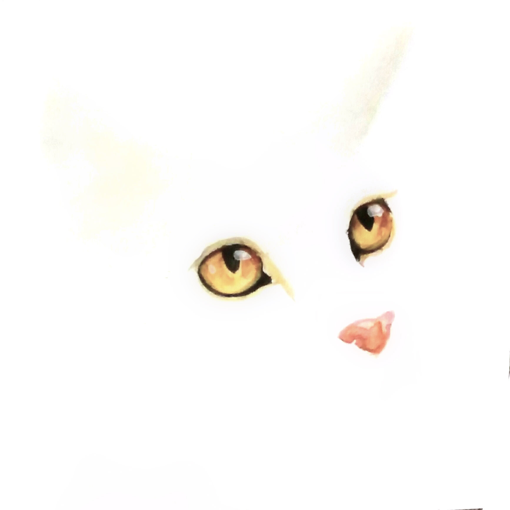 ArtStation - Pink nose 3