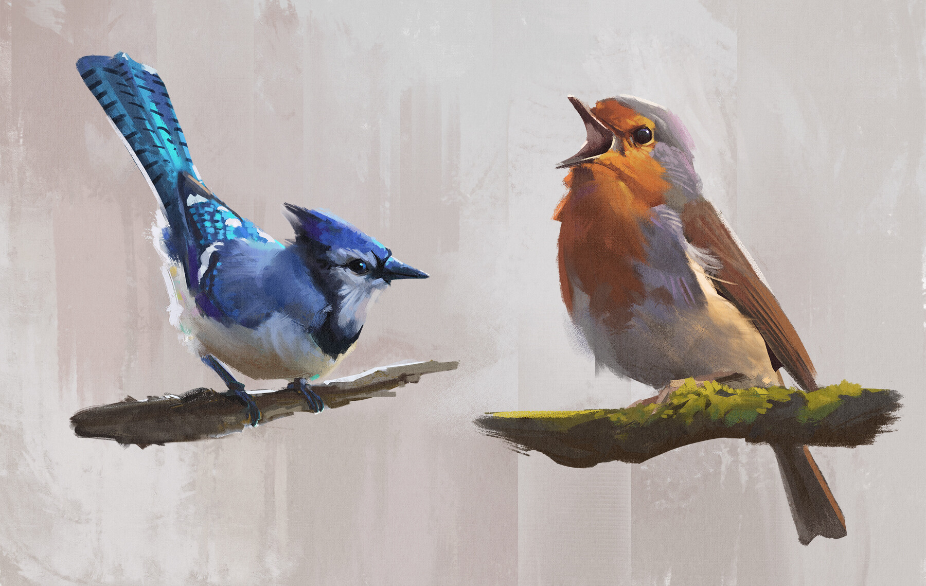 ArtStation - Bird Studies