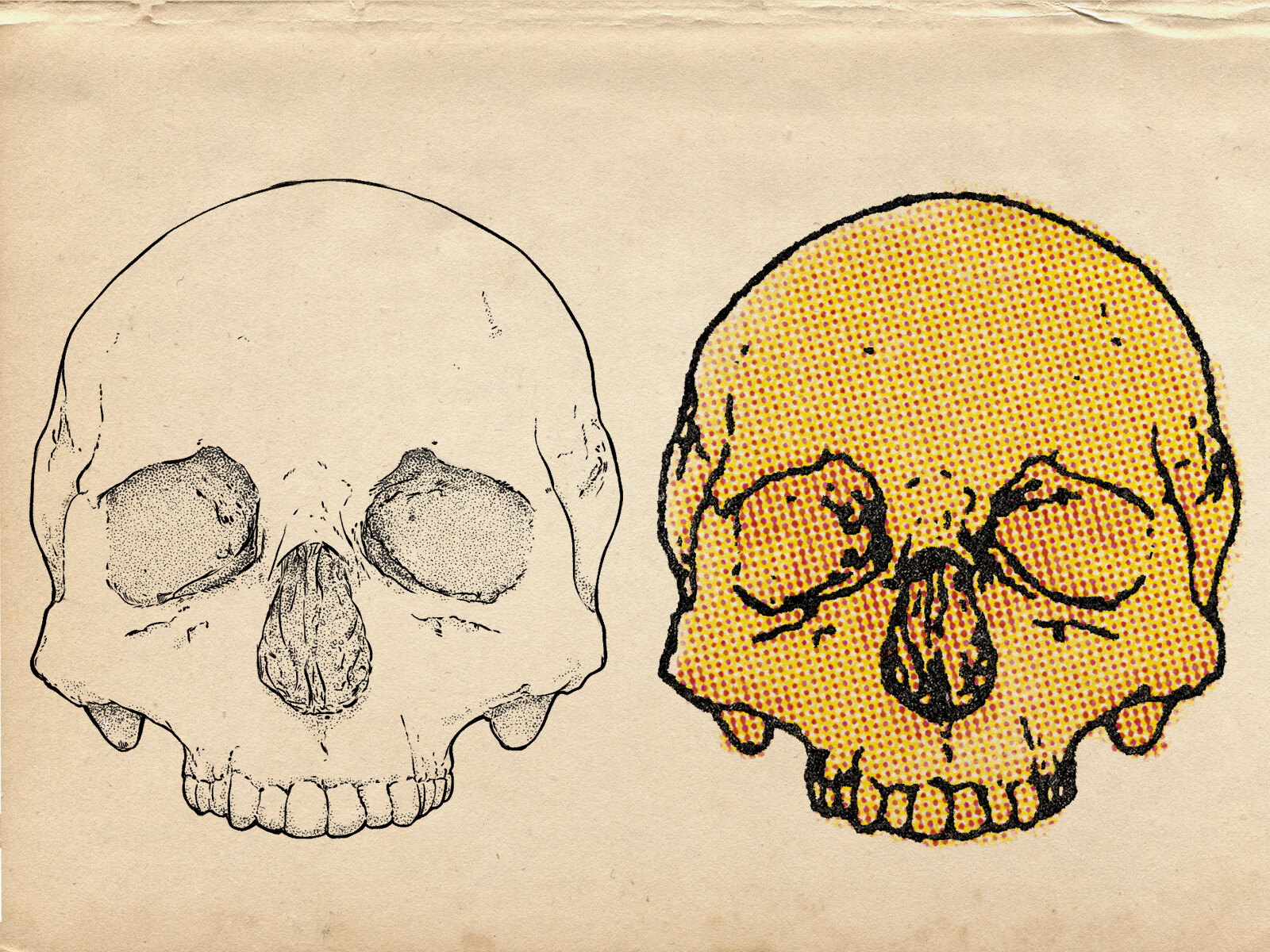 ArtStation - Stippling vs Retro Skull