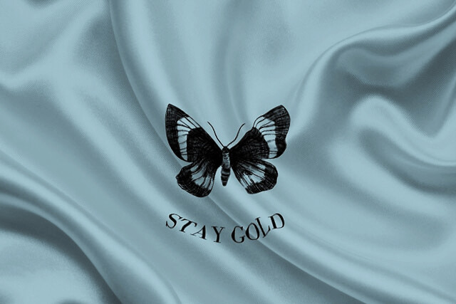 ArtStation - Design art for brand 'stay gold' (flag)