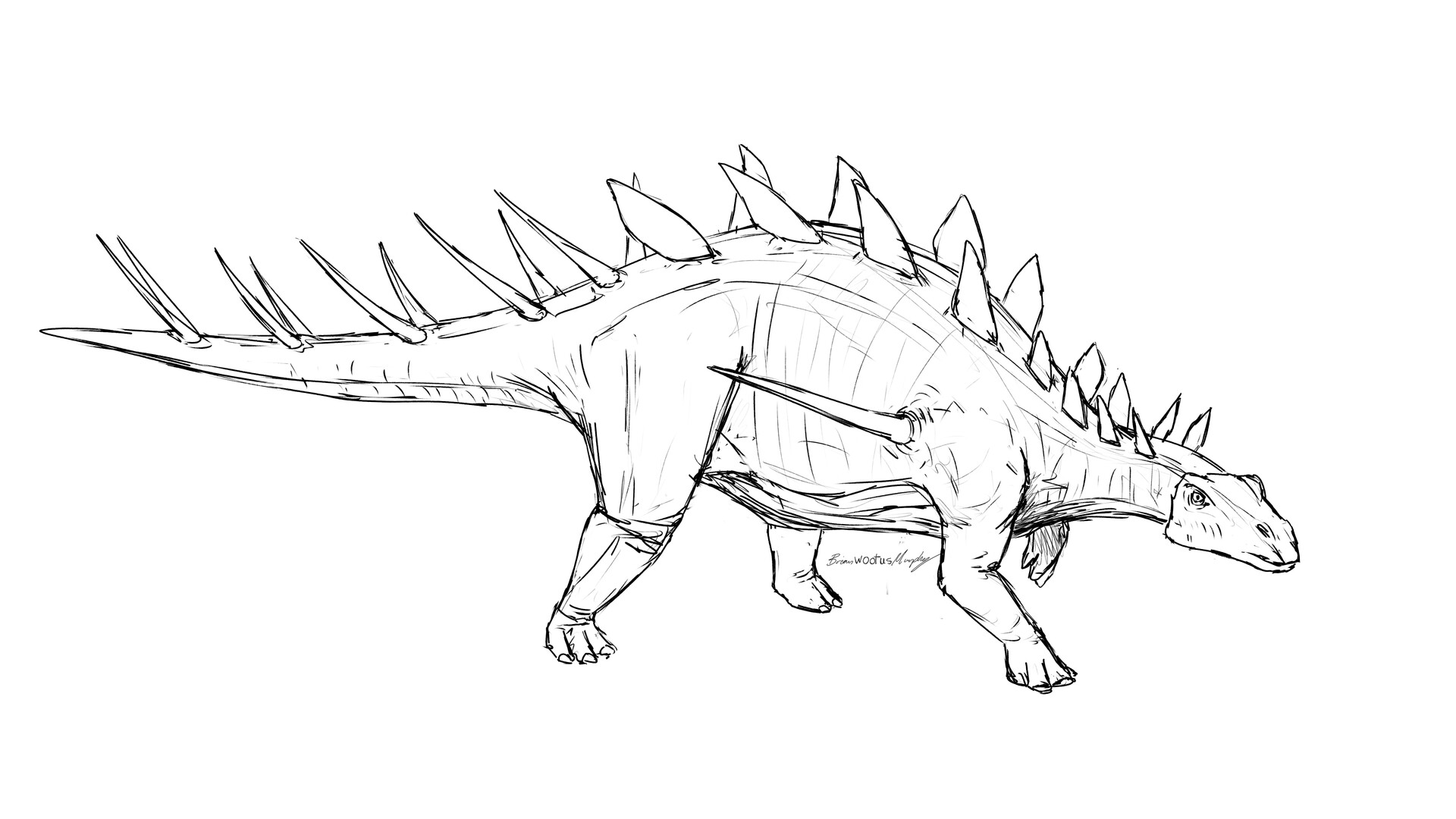 kentrosaurus coloring page printable