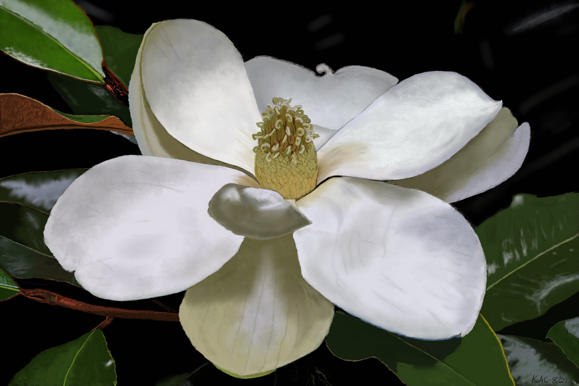 Kenny Chaffin - Southern Magnolia