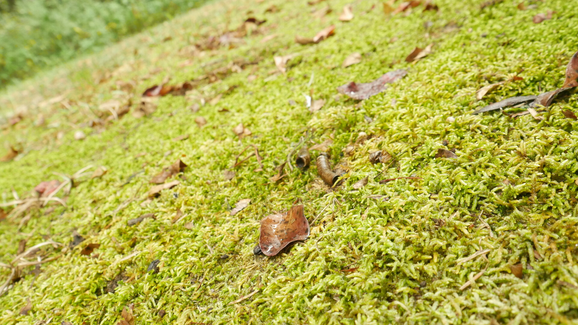 Alejandra Andrade - Material Exploration