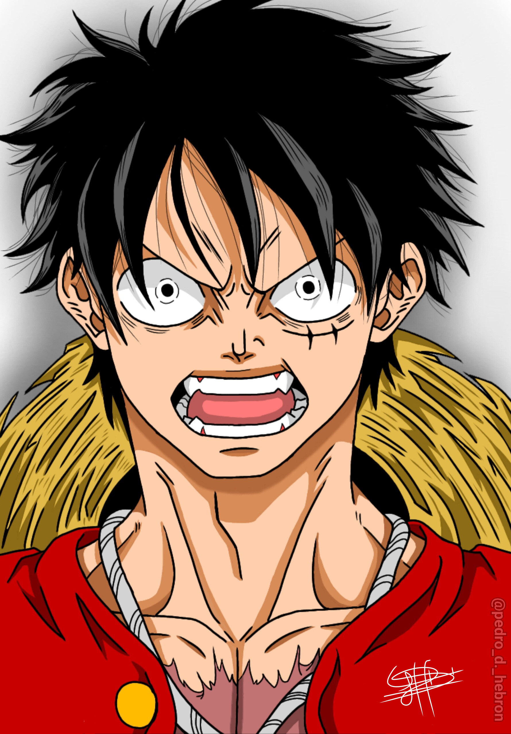 ArtStation - Luffy
