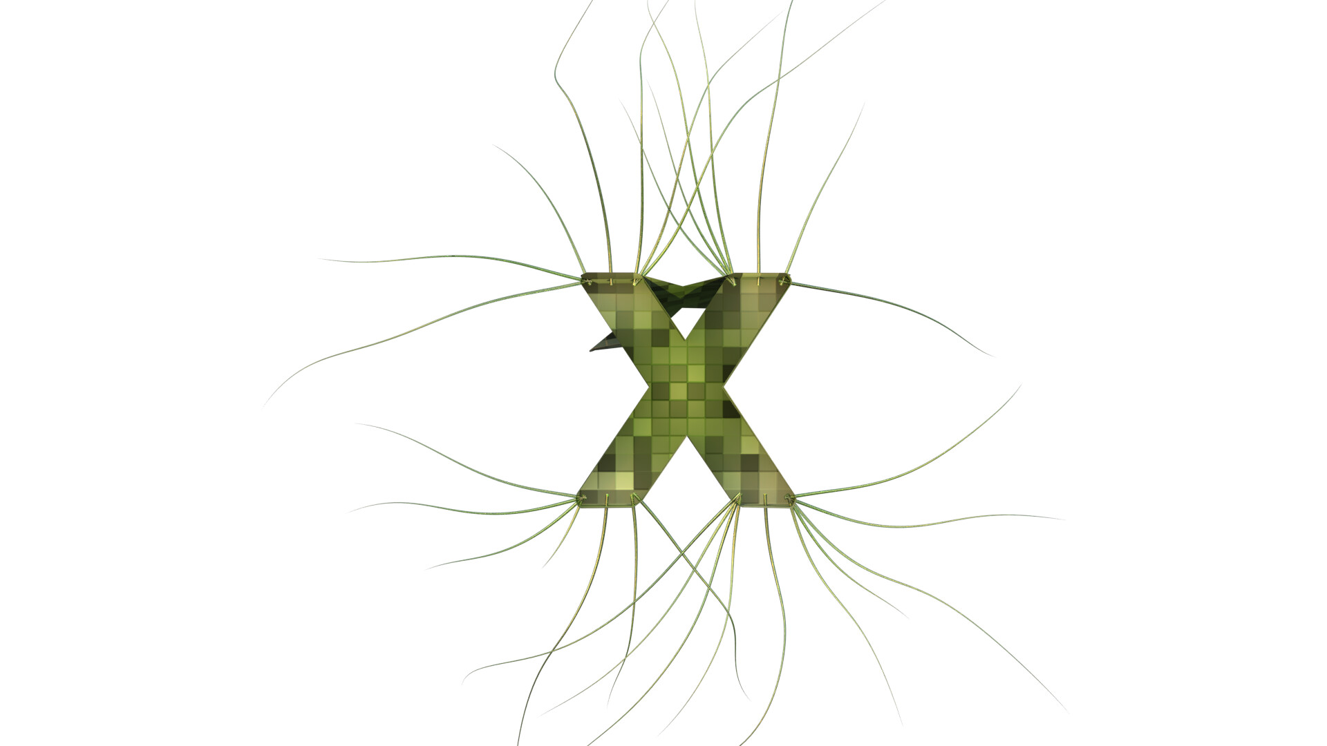 Stout Fella - X 2020